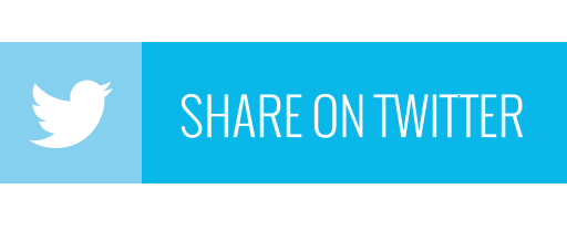 Nine PBS Educator and Caregiver Toolkit